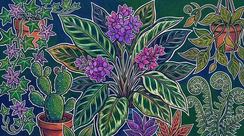 10 Stunning Peace Lily Varieties for Your Home